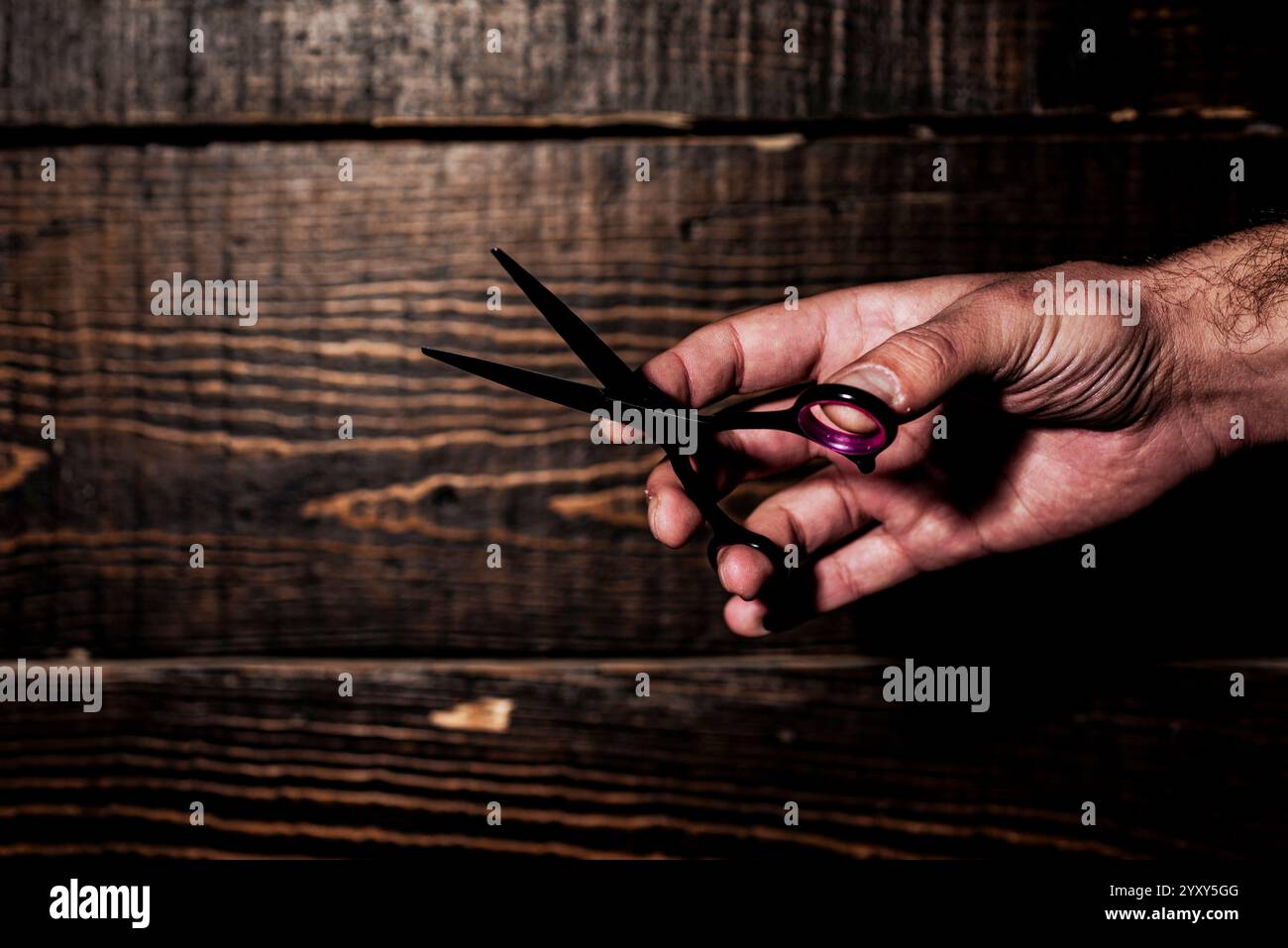 Vintage barbershop background. Man holding scissors. Barber scissors ...