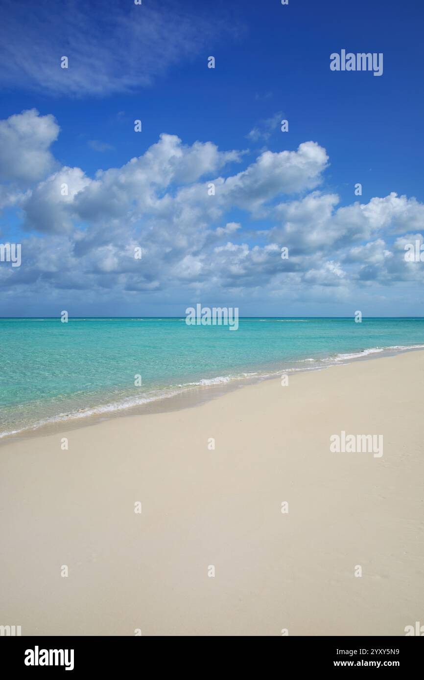 Sandy beach on the shore of Ouvea lagoon, Ouvea Island, Loyalty Islands ...