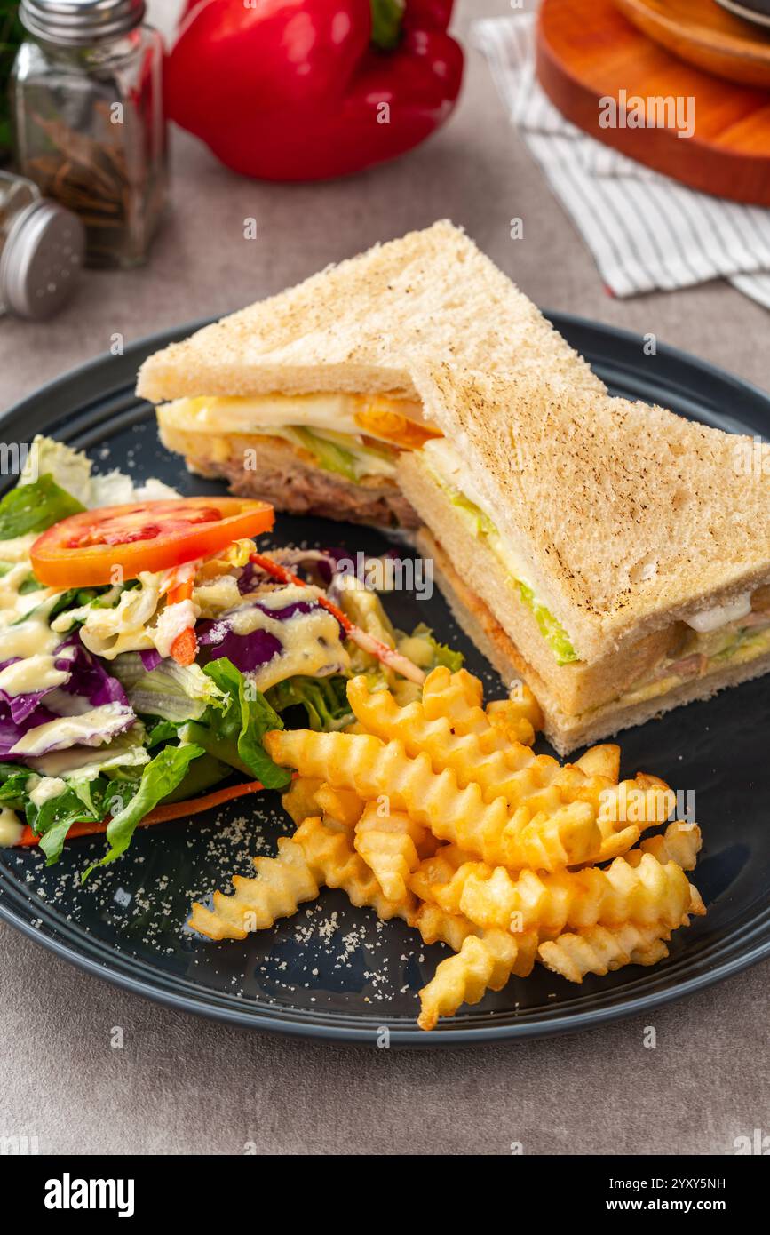 Tuna sandwich with french fries and salad Stock Photo - Alamy