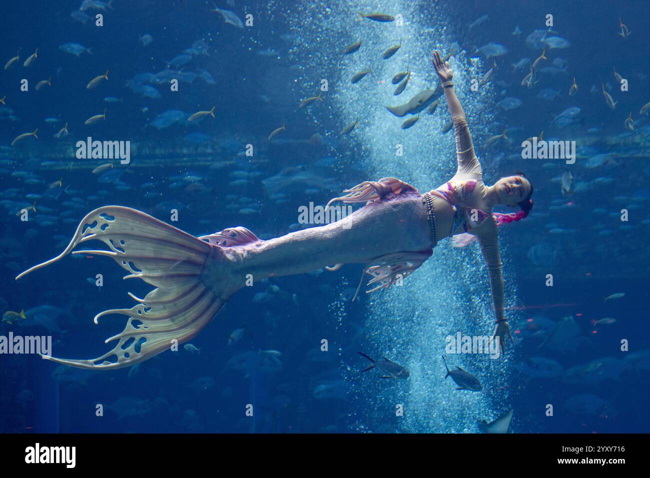 **CHINESE MAINLAND, HONG KONG, MACAU AND TAIWAN OUT** Athletes from ...