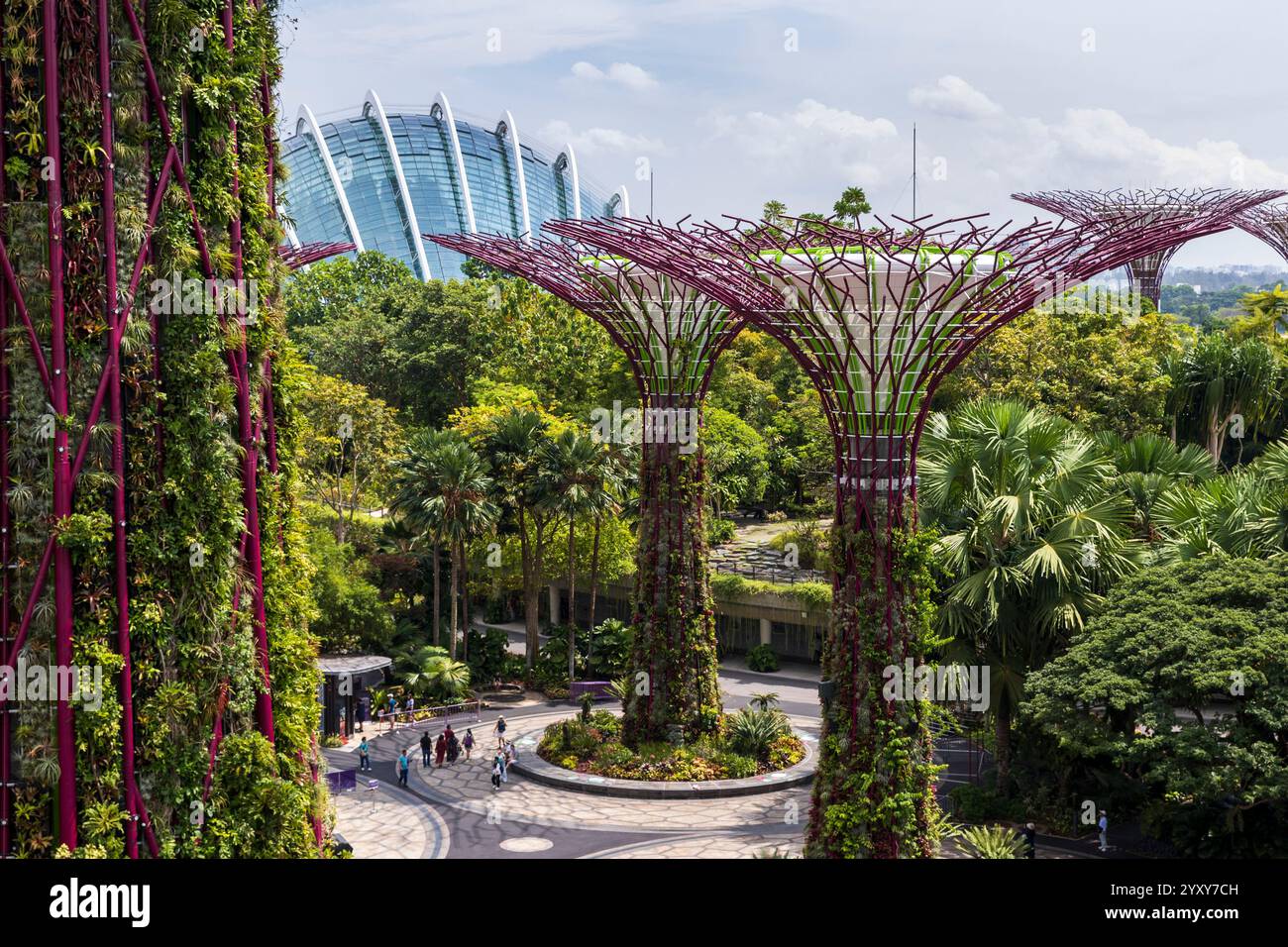Skywalk Experience and Supertree Observatory, Gardens by the Bay ...