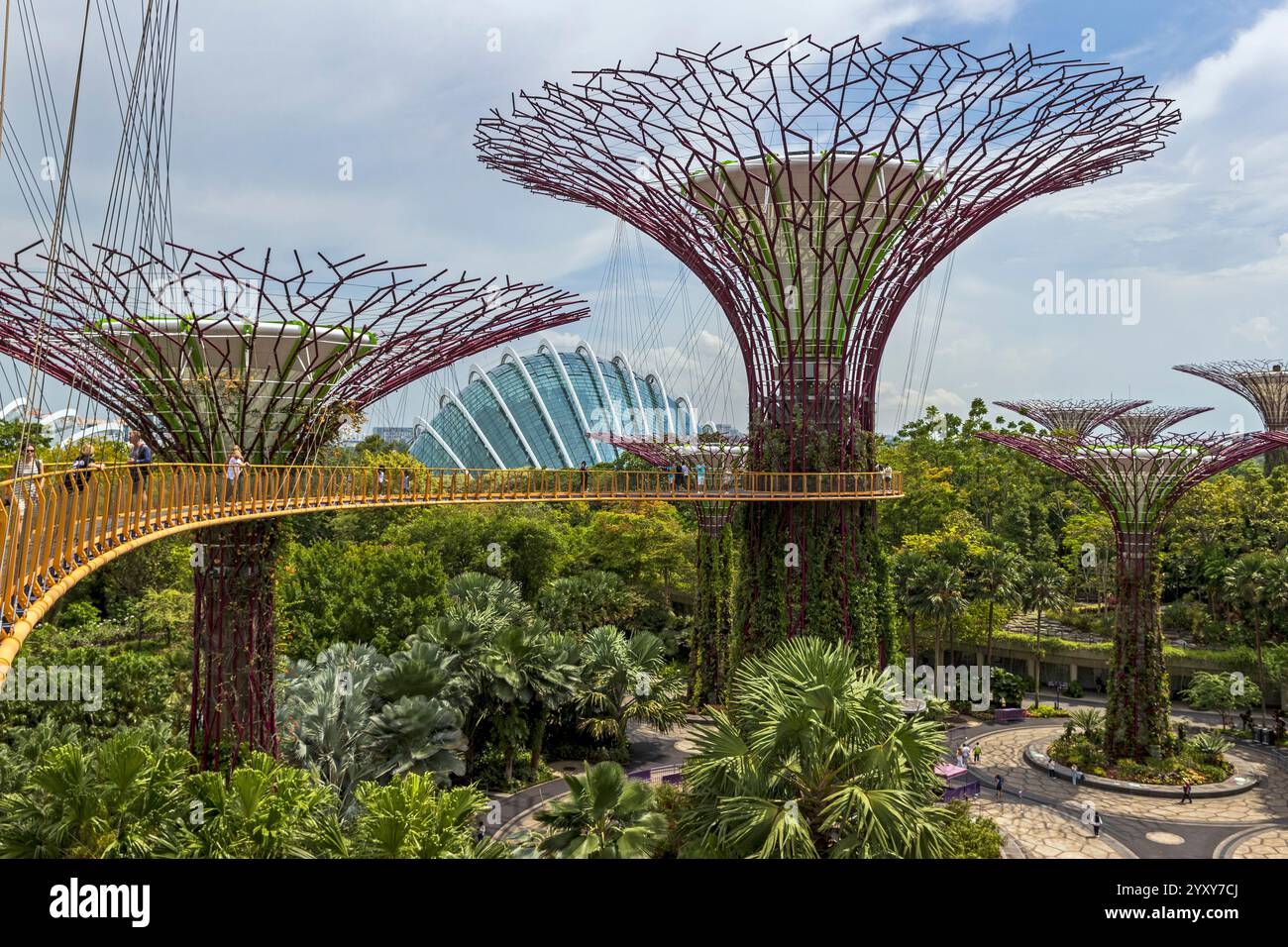 Skywalk Experience and Supertree Observatory, Gardens by the Bay ...