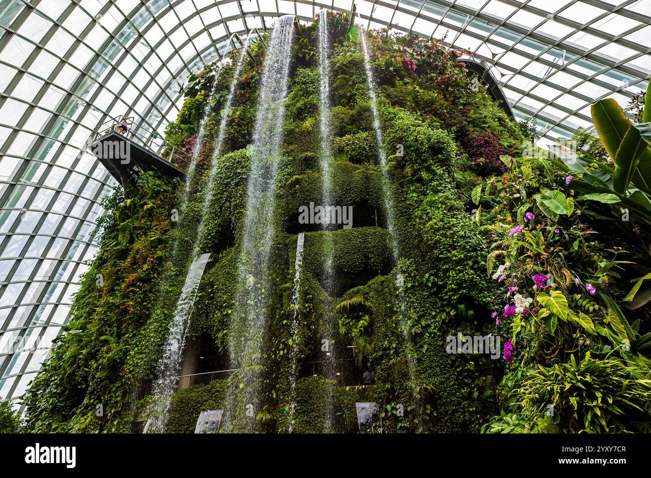 Indoor Waterfall, The Cloud Forest, Gardens by the Bay, Singapore ...