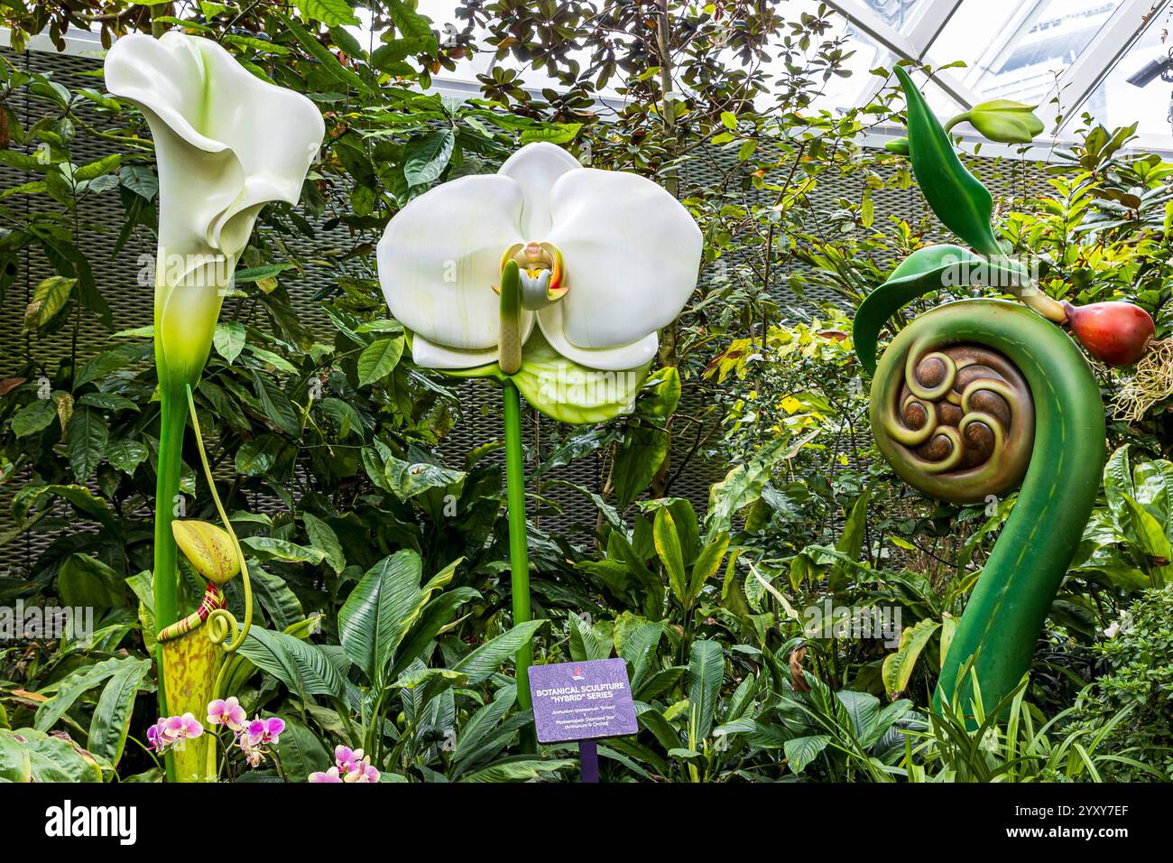 Botanical sculptures by Makoto Azuma, Hybrid series,, Cloud Forest ...