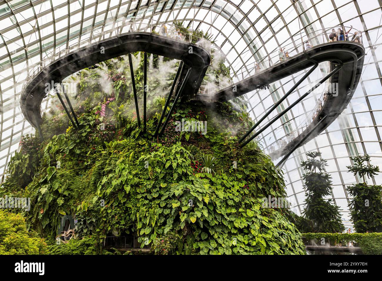 Cloud Forest Dome, Gardens by the Bay, Singapore, Photo: David Rowland ...