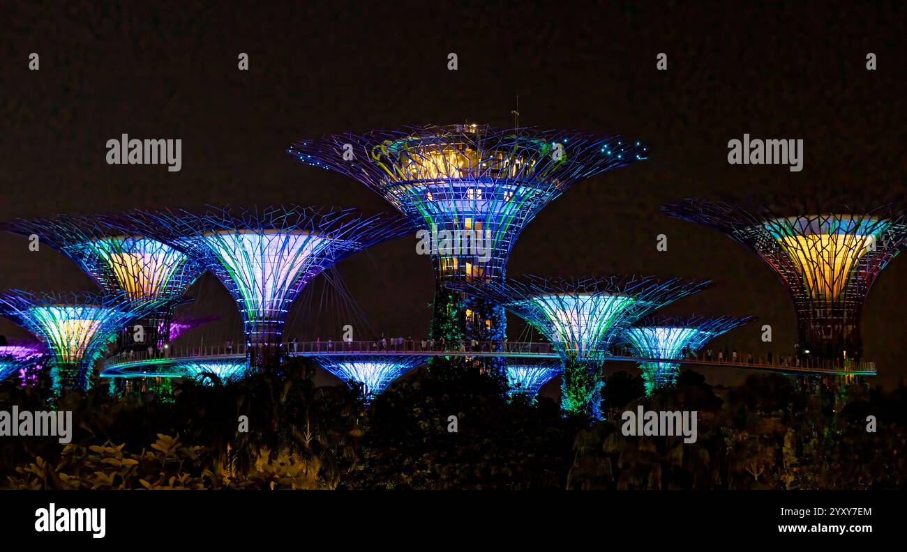 Supertree Panorama, Garden Rhapsody light display, Gardens by the Bay ...