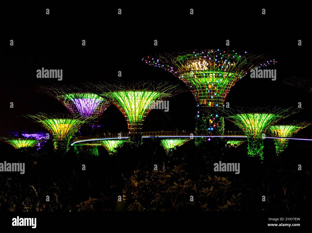 Supertree Panorama, Garden Rhapsody light display, Gardens by the Bay ...