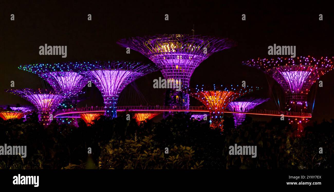 Supertree Panorama, Garden Rhapsody light display, Gardens by the Bay ...