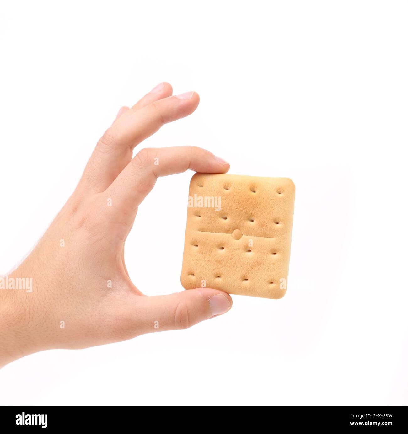 Hand holds saltine soda cracker. White background Stock Photo - Alamy