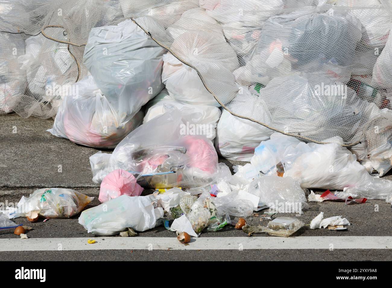 Sorted raw garbage bags or waste bag. Garbage devoured by crows Stock ...
