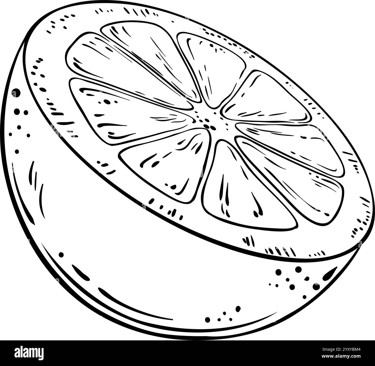 Orange Fruit Isolated Outline Illustration Stock Vector Image & Art - Alamy