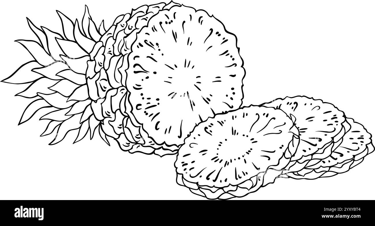 Pineapple Fruit Isolated Outline Illustration Stock Vector Image & Art ...