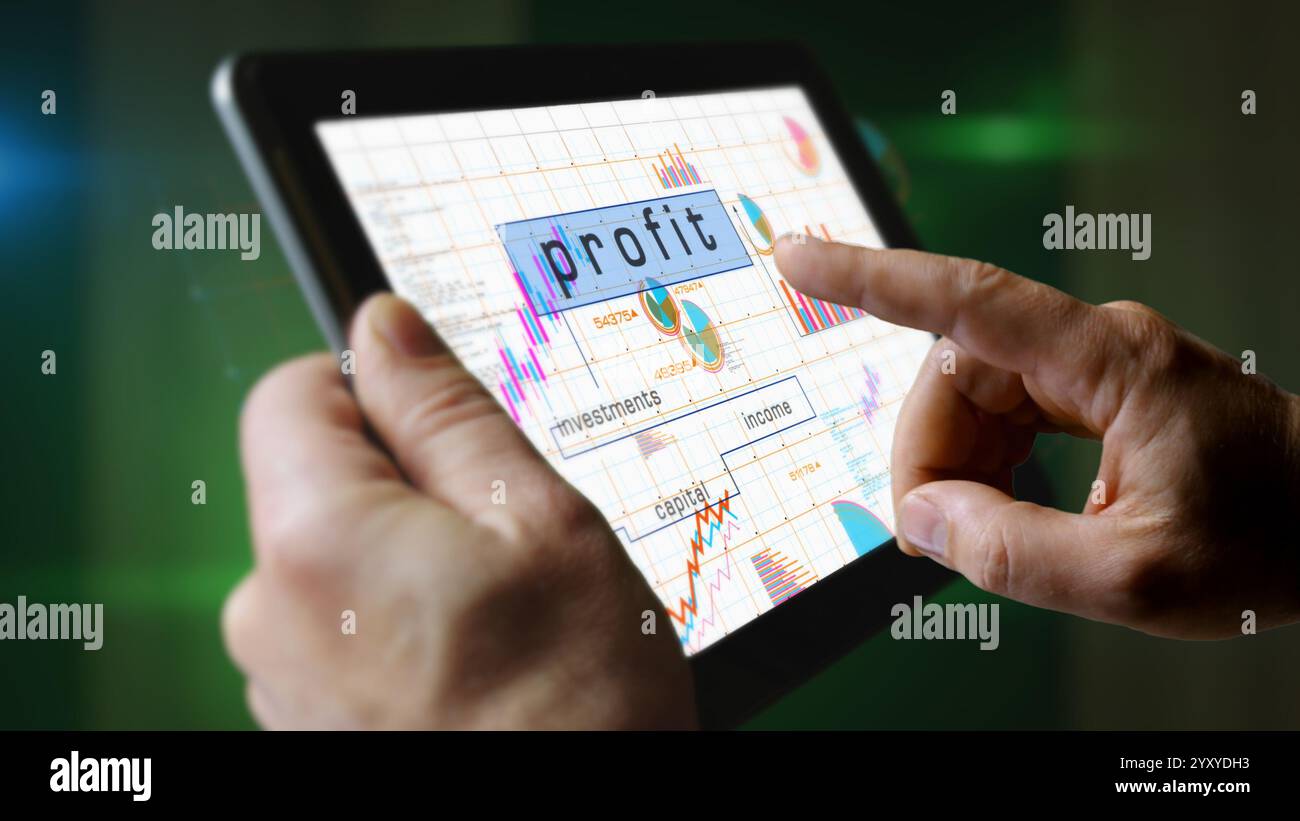 Business profit income and capital charts and graphs diagram on ...