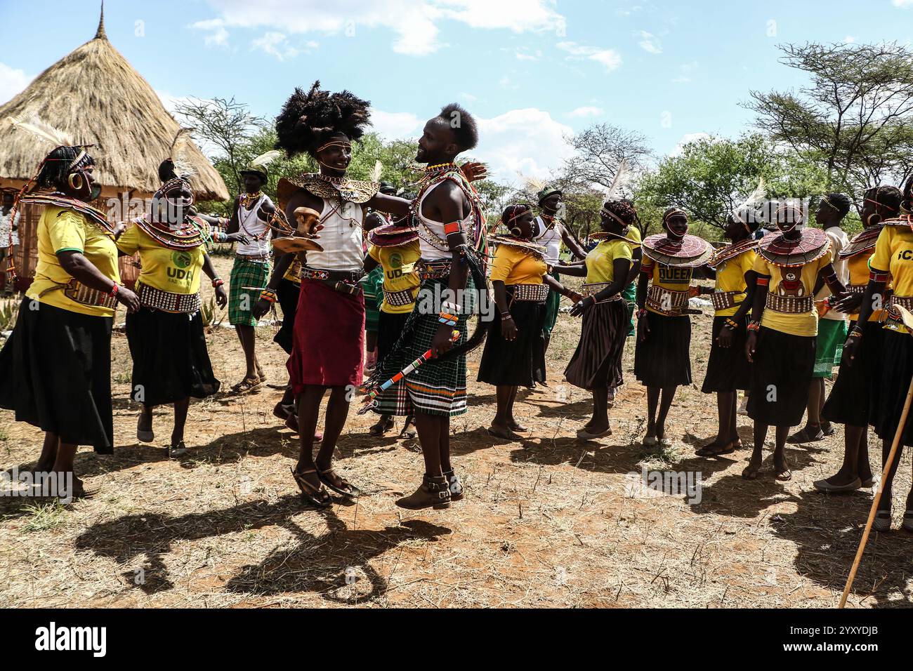 Pokot traditional dancers wearing their cultural attire perform ...