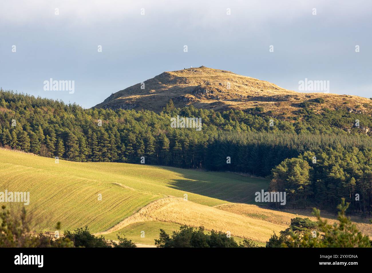 Normans law hill hi-res stock photography and images - Alamy