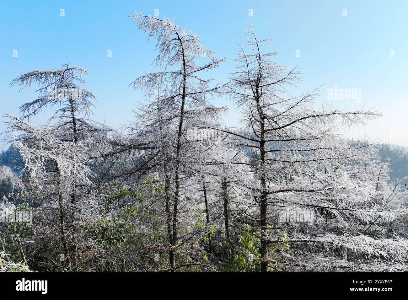 Aerial photo shows the snow scenery in Chongqing, China, 15 December ...