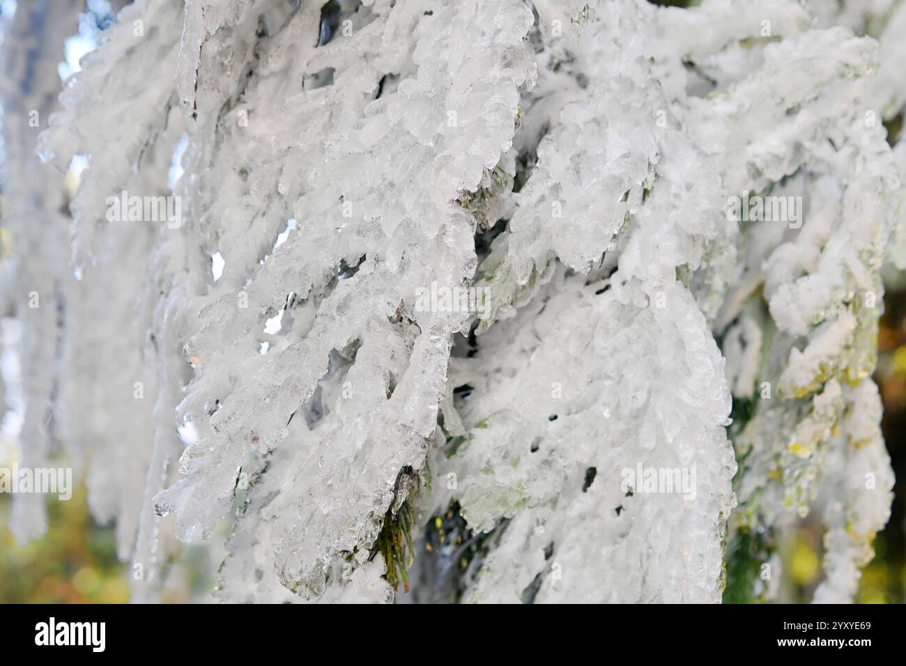 Aerial photo shows the snow scenery in Chongqing, China, 15 December ...