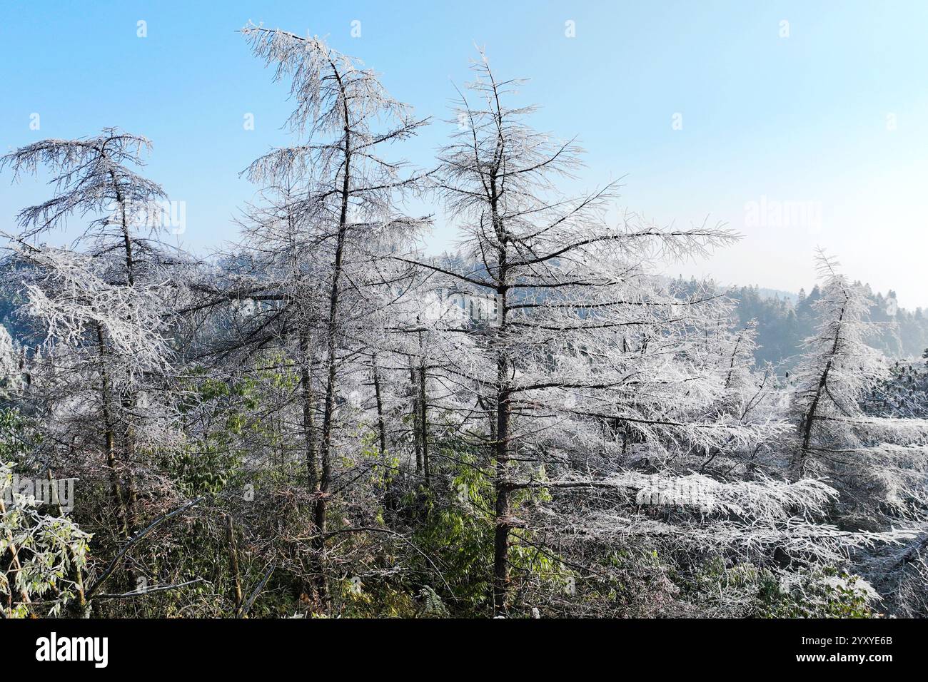 Aerial photo shows the snow scenery in Chongqing, China, 15 December ...