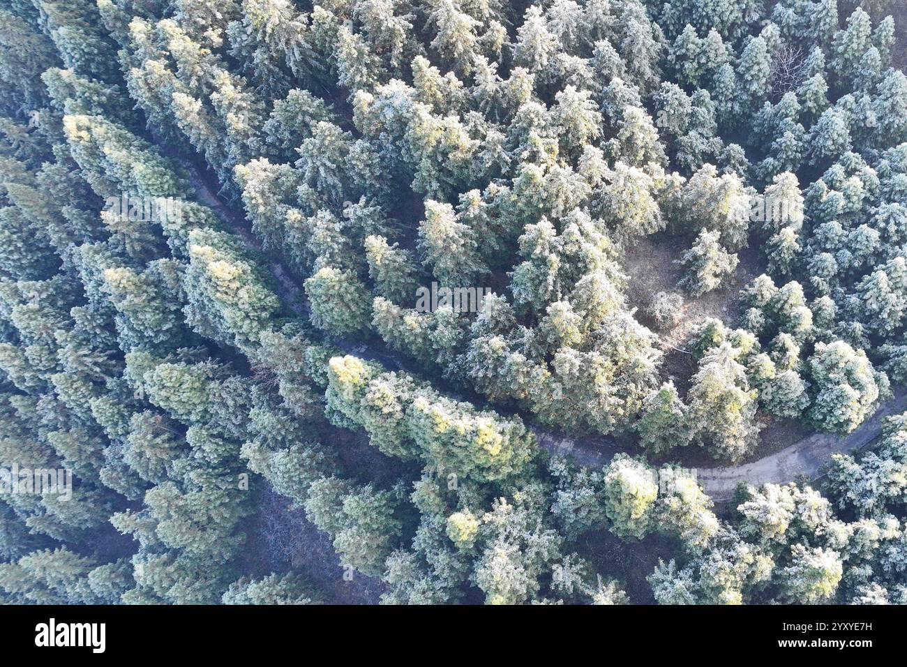 Aerial photo shows the snow scenery in Chongqing, China, 15 December ...