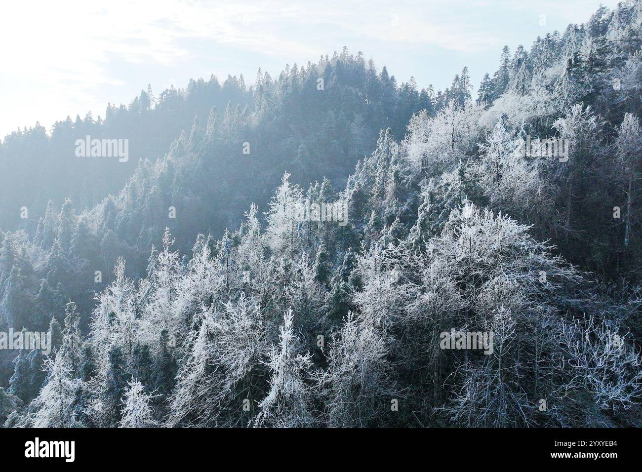 Aerial photo shows the snow scenery in Chongqing, China, 15 December ...