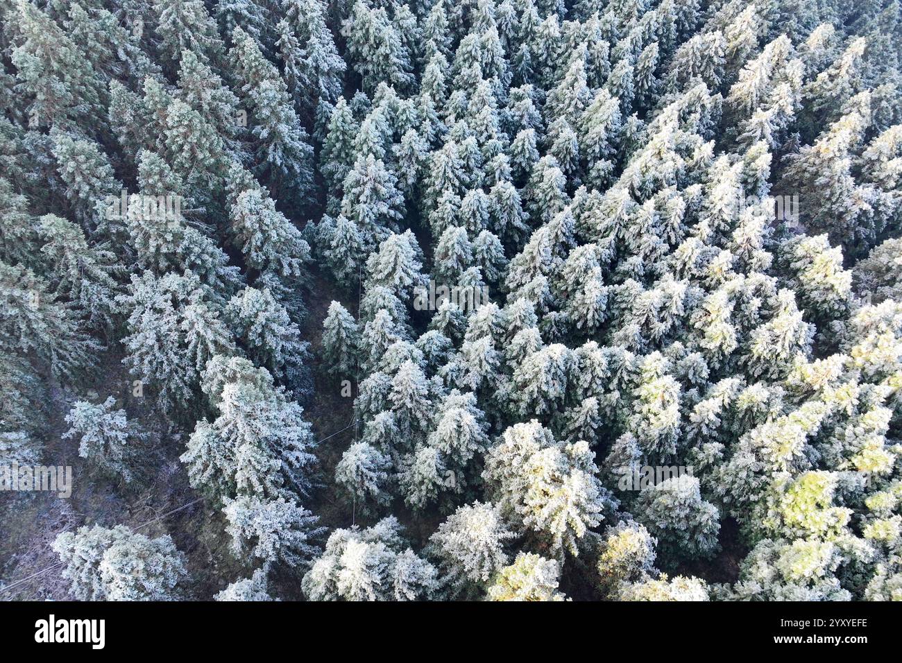 Aerial photo shows the snow scenery in Chongqing, China, 15 December ...