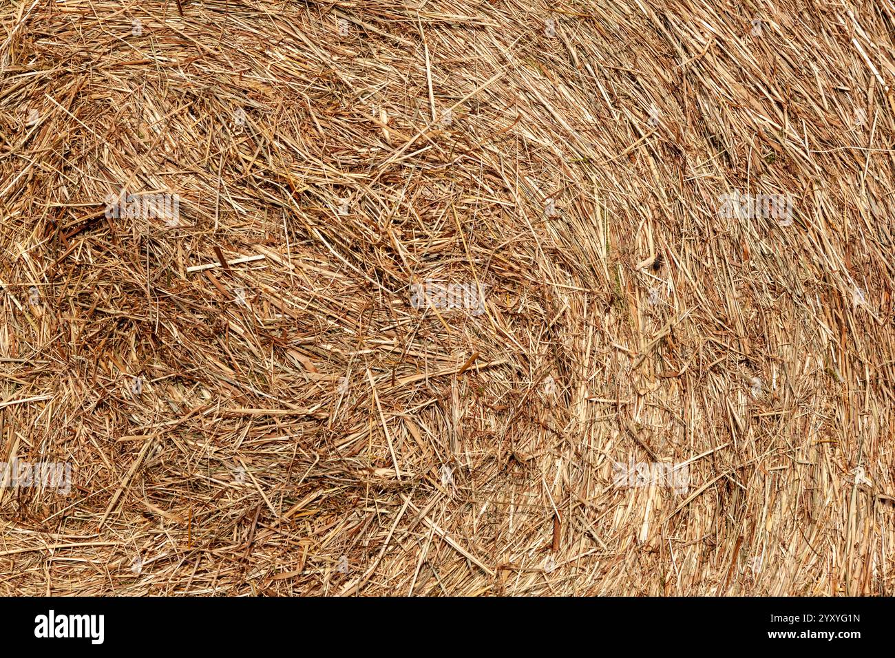 Countryside harvest detail hi-res stock photography and images - Alamy