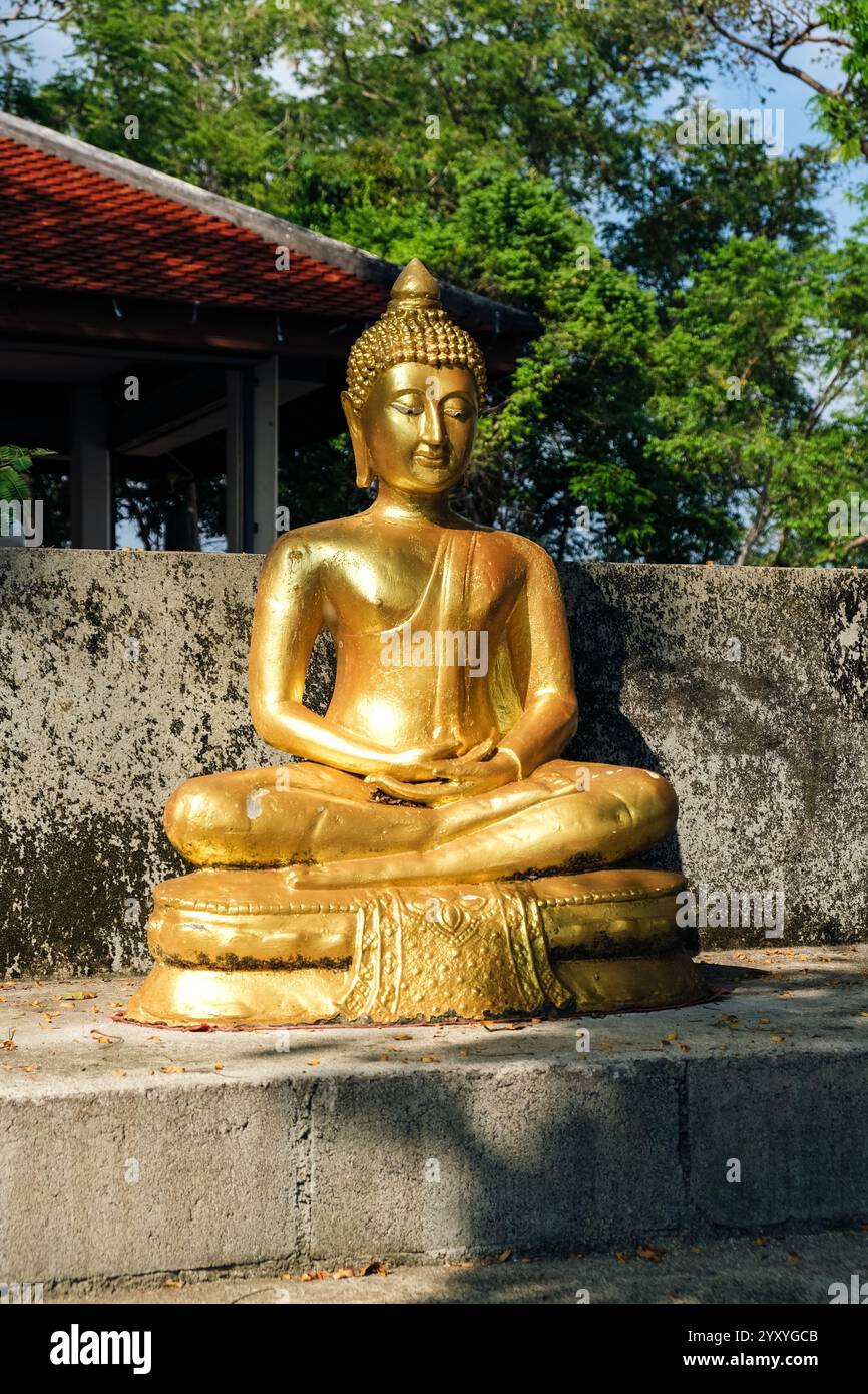 A serene temple in Thailand features rows of golden Buddha statues ...