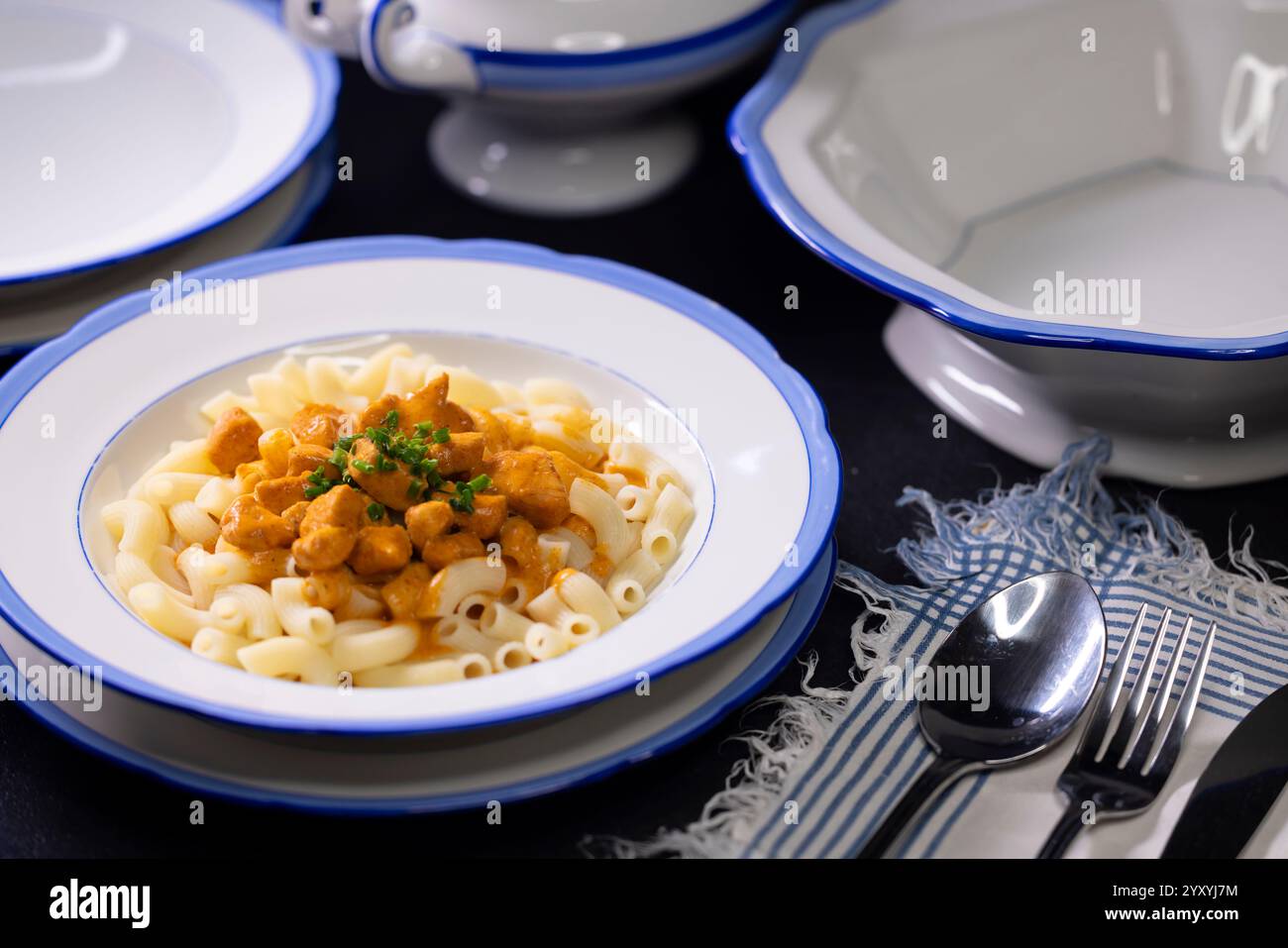 Traditional czech dish, chicken with paprika creamy sauce with pasta ...