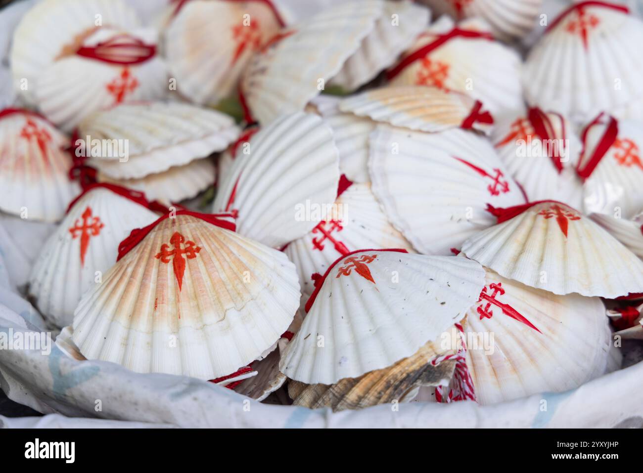 the symbol of the Way of St. James, the shell of St. Jacob Stock Photo ...