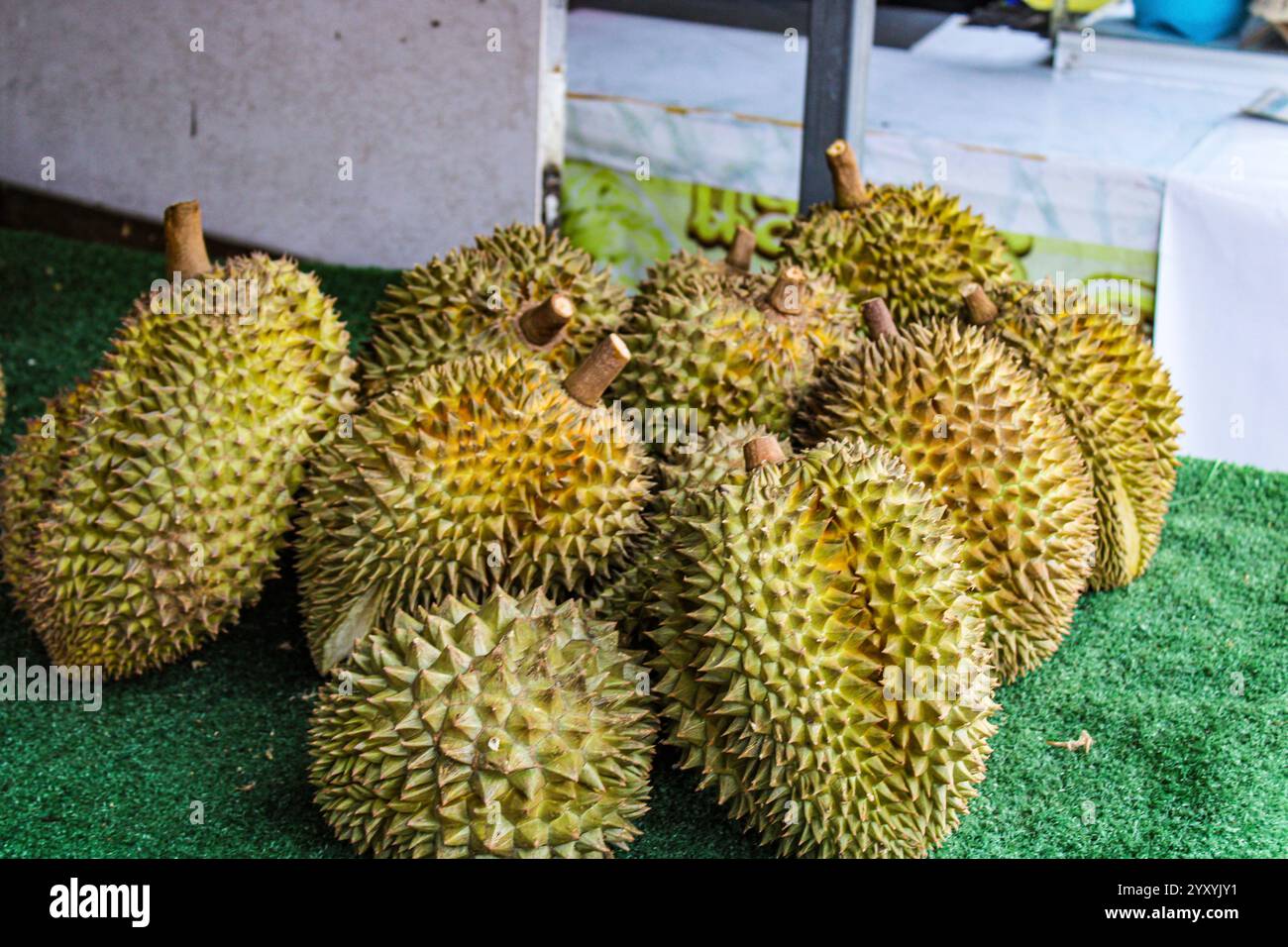 Durian sell in a market in Koh Samui. Durian is the edible fruit of ...