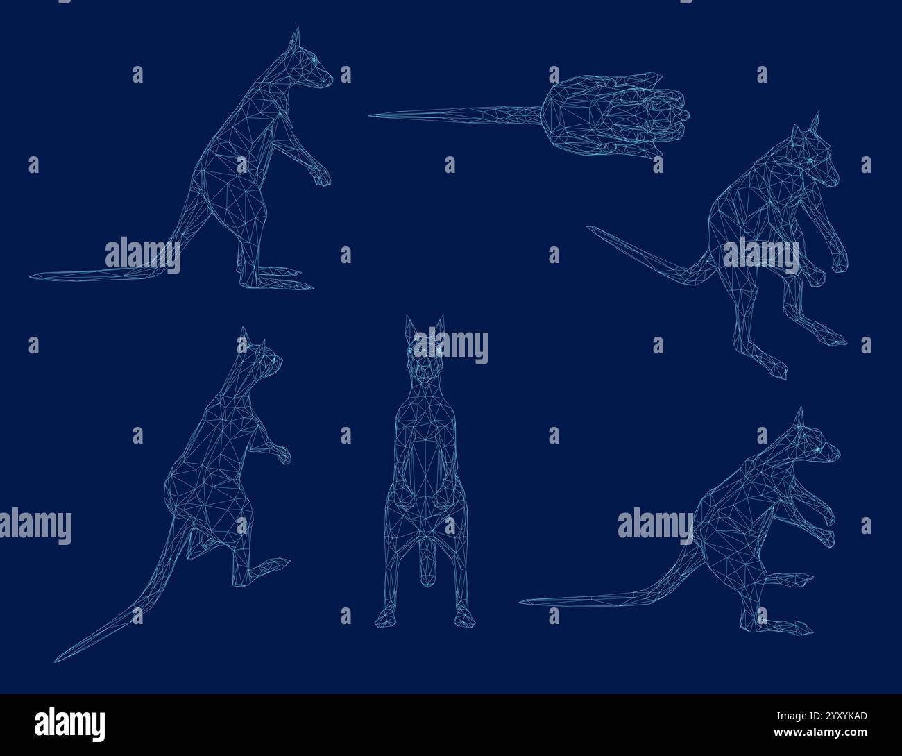 Vector set of kangaroo wireframe. Australian cute marsupial. 3D. Vector ...