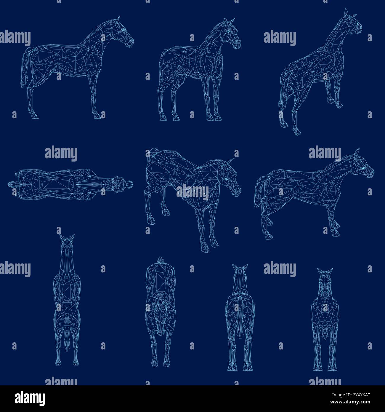 Set wireframe of horses. Side, front, top, back, isometric view. 3D ...