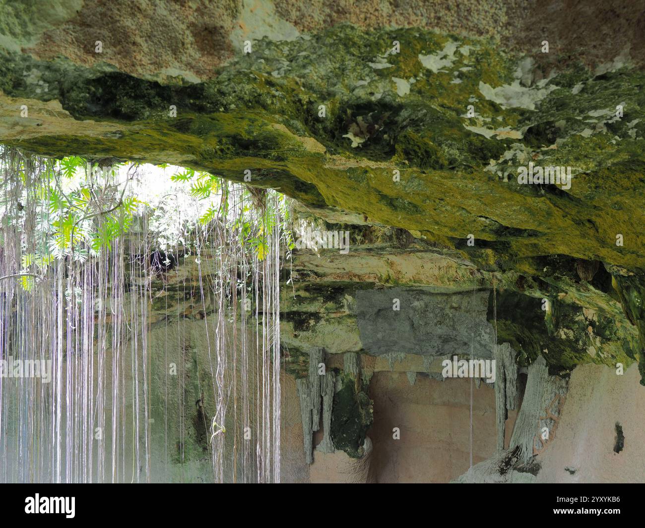 Scenic rocky cave of cenote Ik-Kil near Chichen Itza mayan town at ...