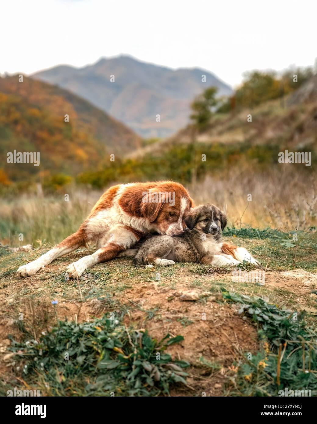 Eye catching scenery hi-res stock photography and images - Alamy