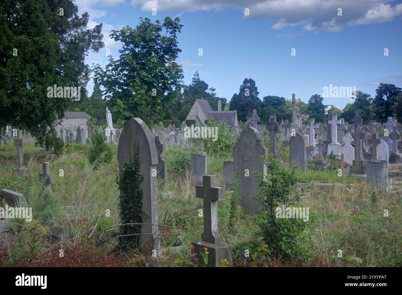 Dublin, Ireland - June 16, 2024: View of Deans' Grange Cemetery showng ...