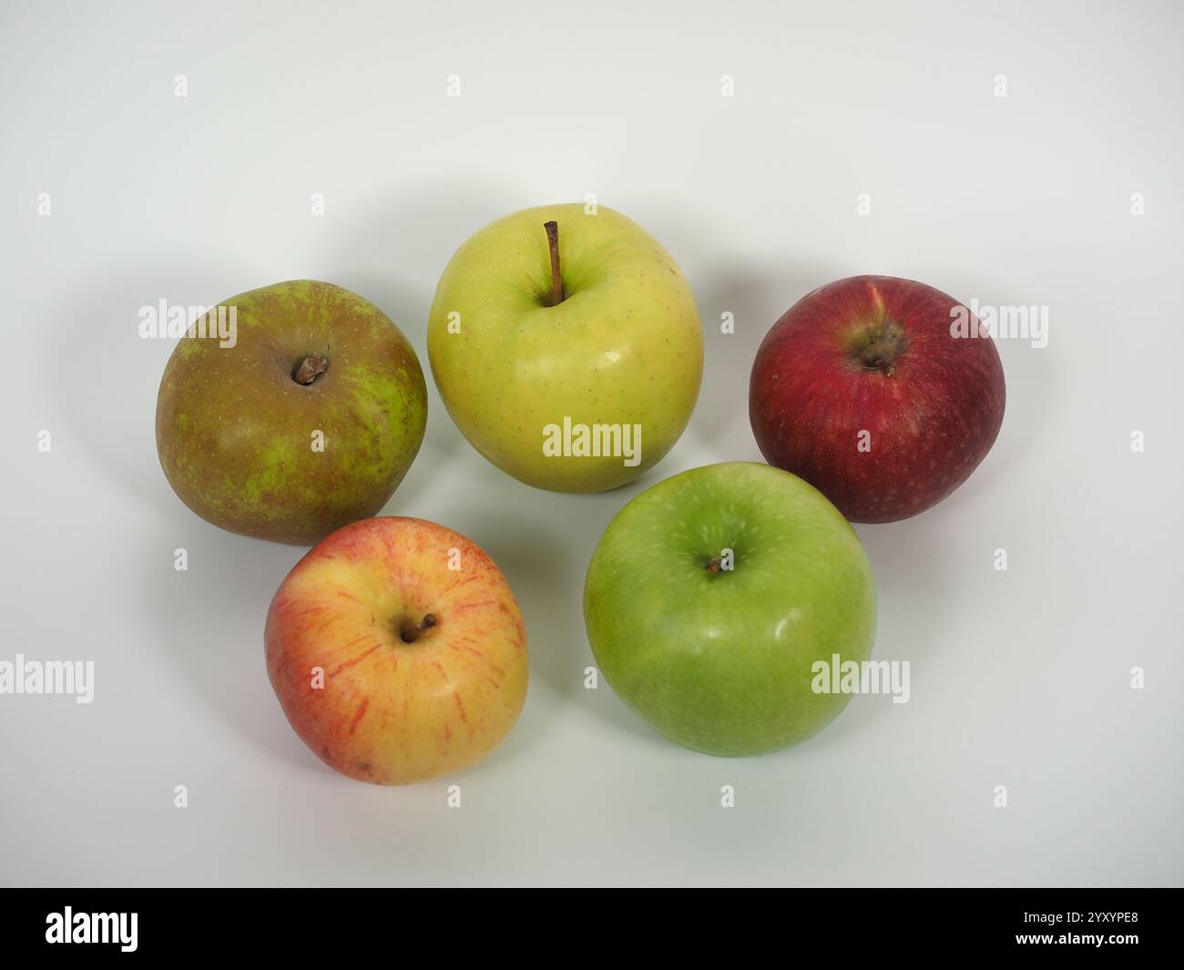 red and green apple fruits over light grey background Stock Photo - Alamy