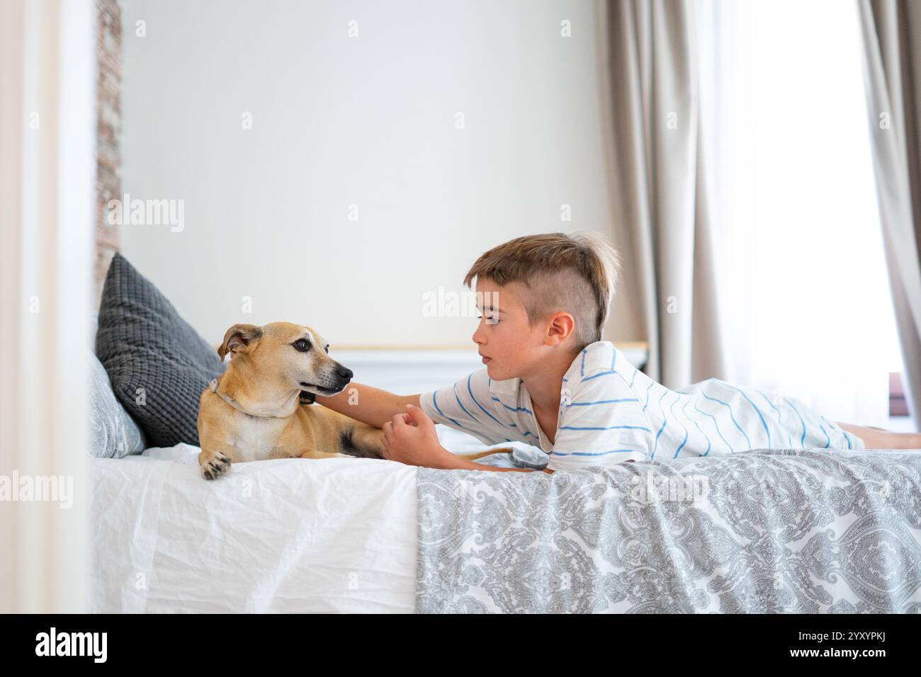 Boy interacting with his dog on a bed, showcasing the loving bond ...