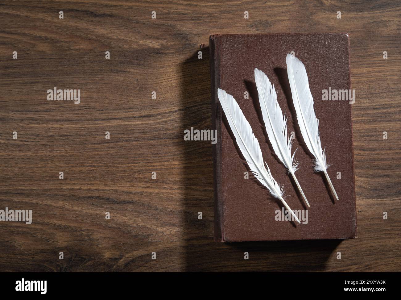 Bird feather and book on the wooden table Stock Photo - Alamy