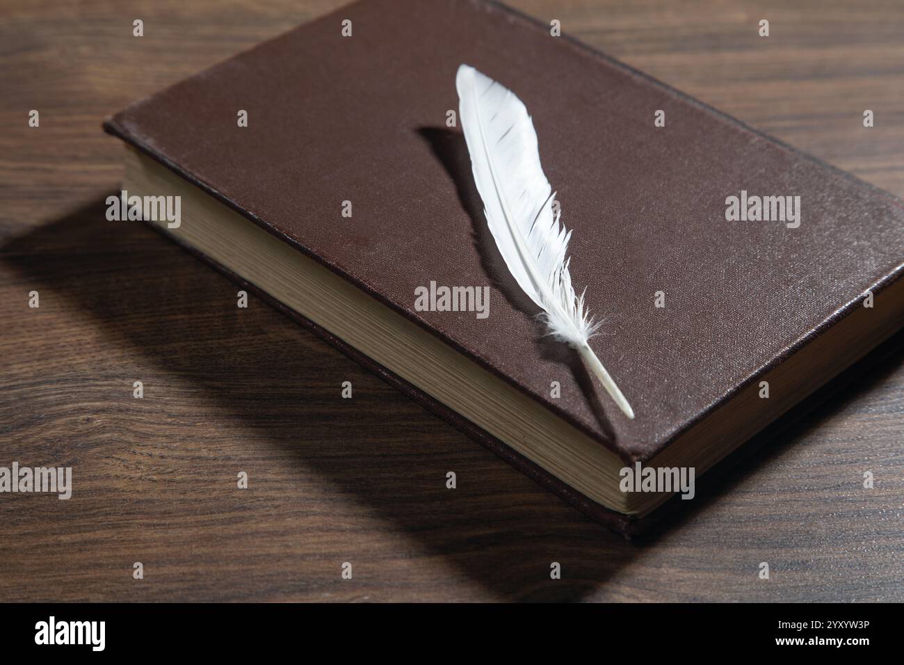 Bird feather and book on the wooden table Stock Photo - Alamy