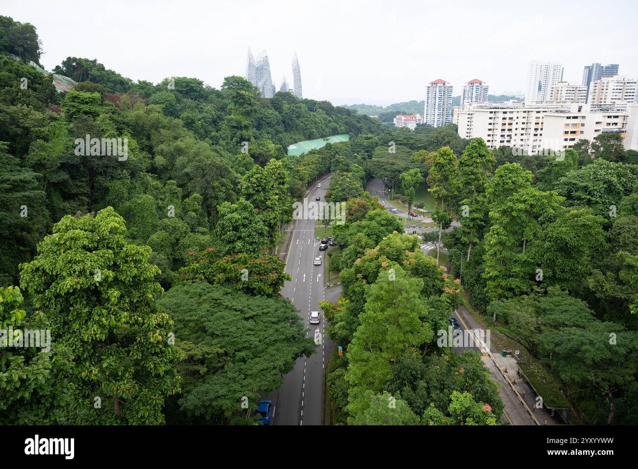 Southern Ridges Singapore, urban road roadway motorway through green ...