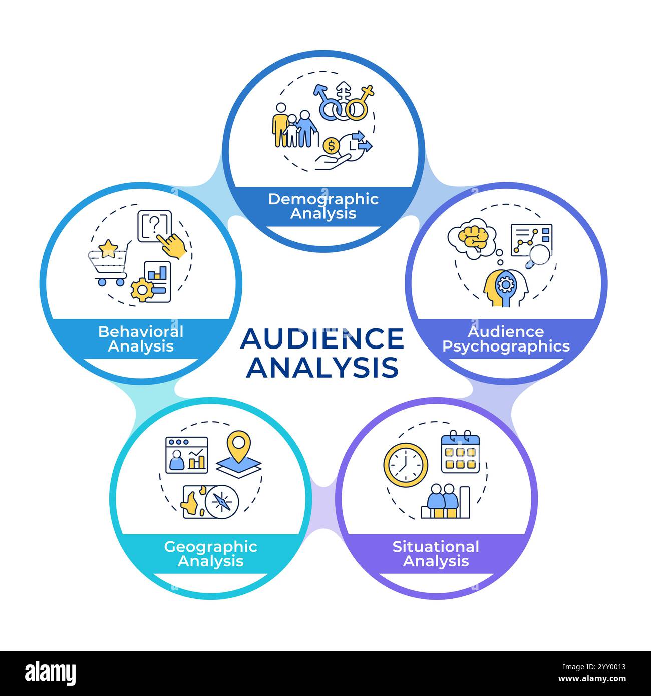 Audience Analysis Infographic Circles Flowchart Stock Vector Image And Art Alamy