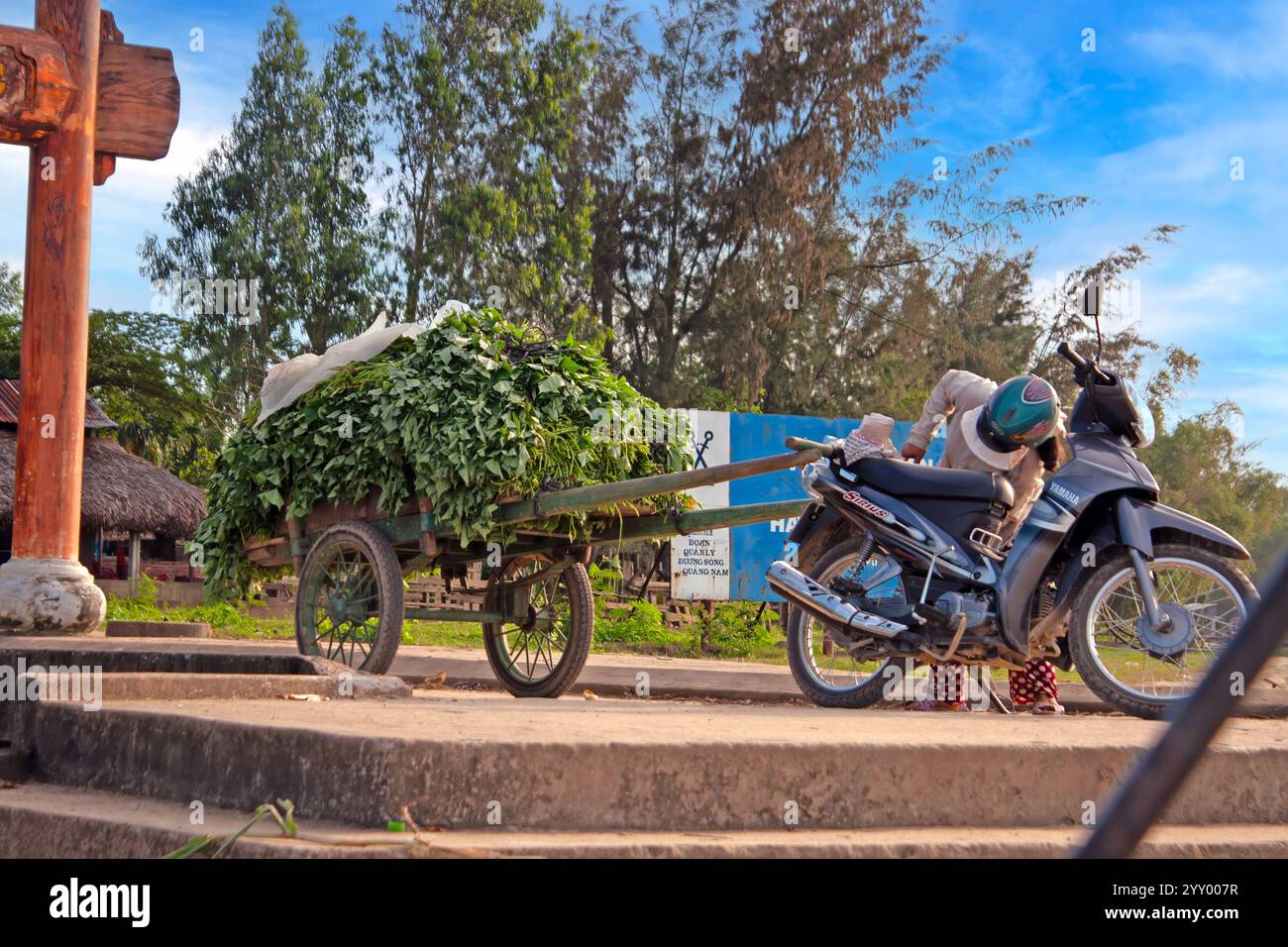 Motorbike pulling a cart loaded with green plants, set against a rural ...