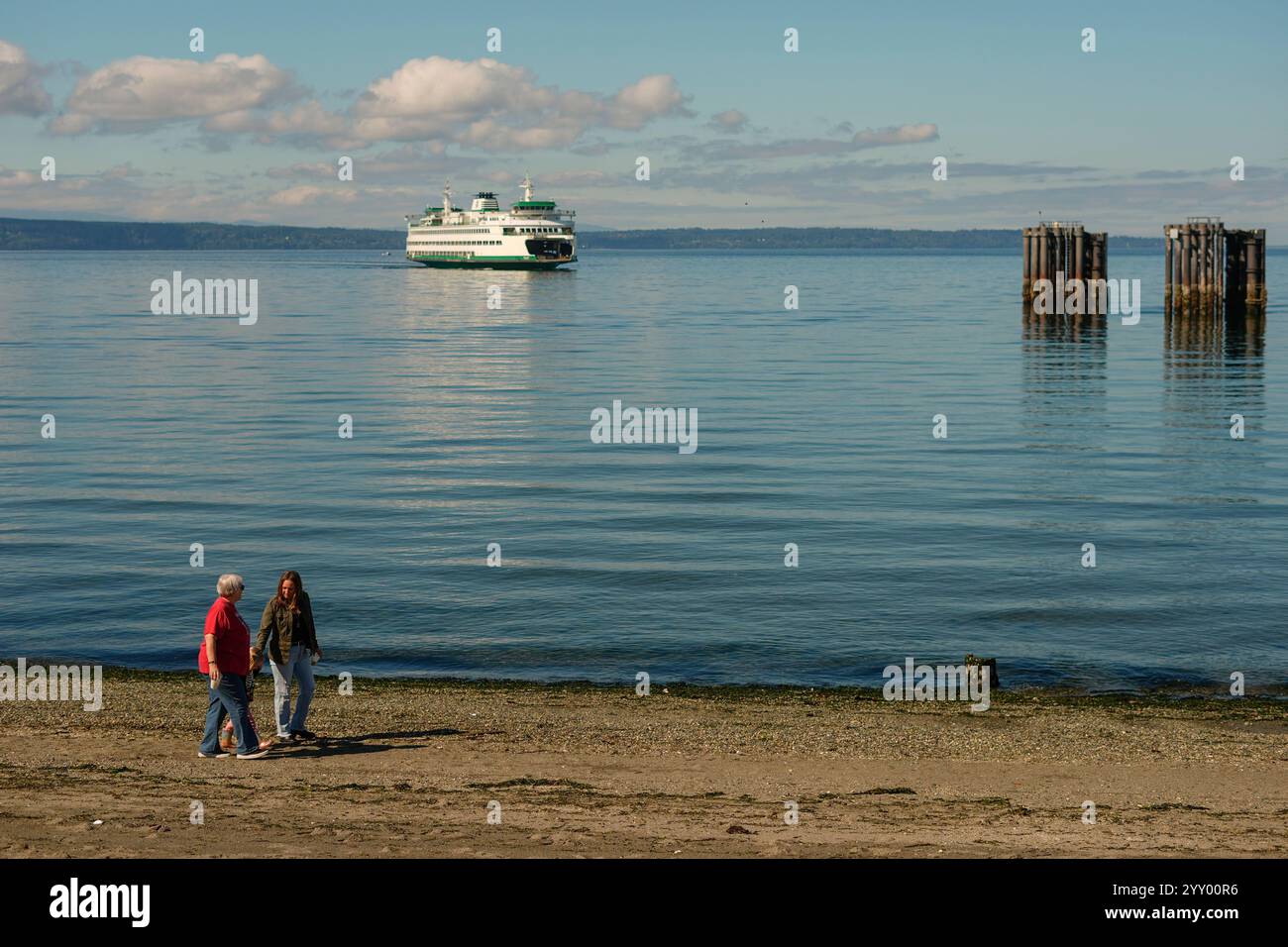 Jen Dold, whose brother, Alex Dold, lived with schizophrenia and died ...