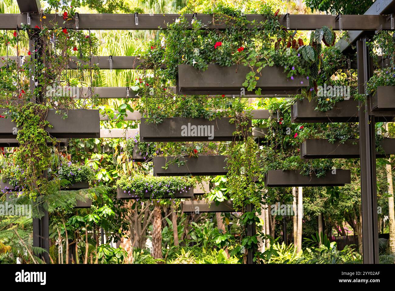 Hanging vertical garden, high density housing, space saving gardening ...