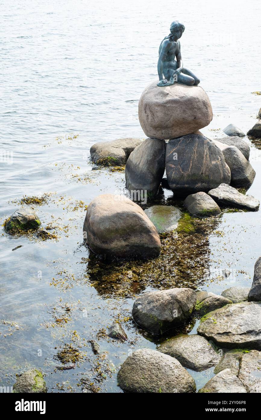 The Little Mermaid, Den Lille Havfrue, Copenhagen, Denmark Stock Photo ...