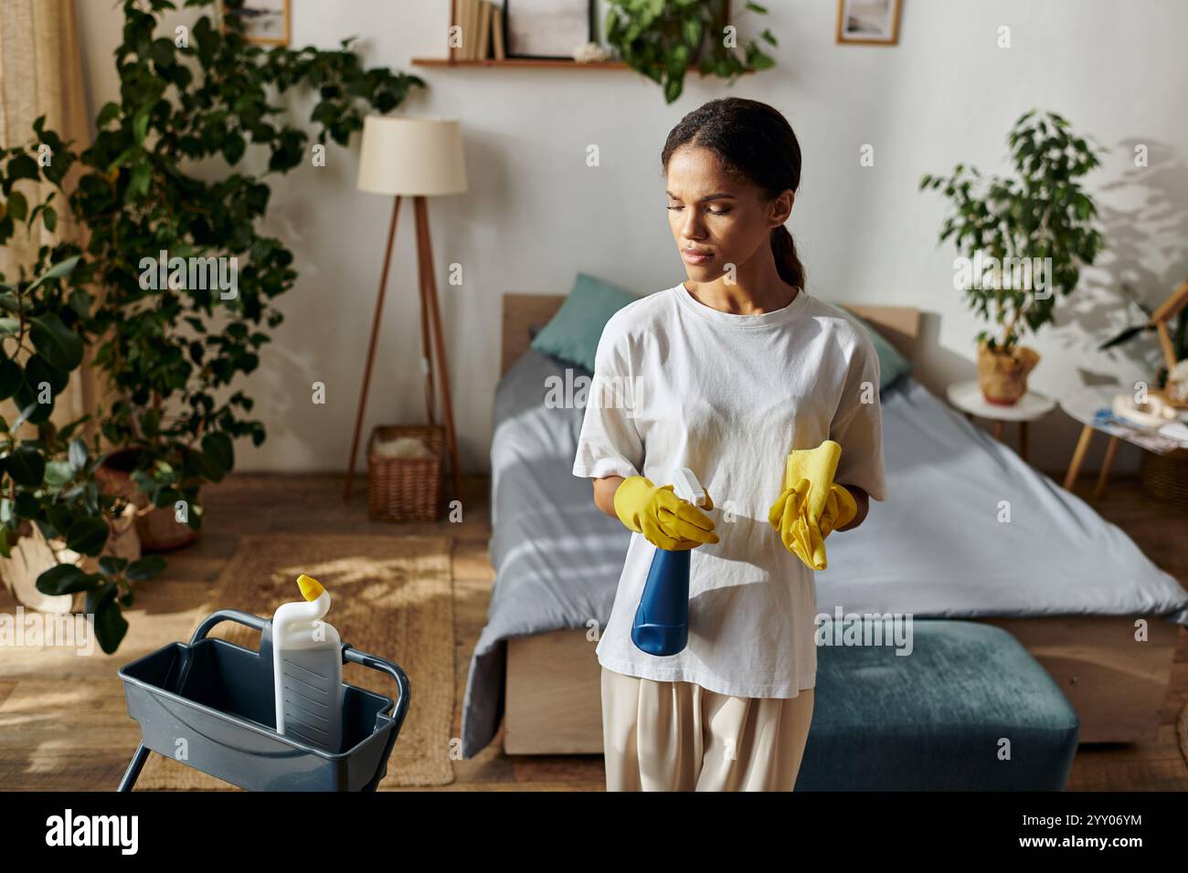 A young African American woman thoroughly cleans her tidy modern ...