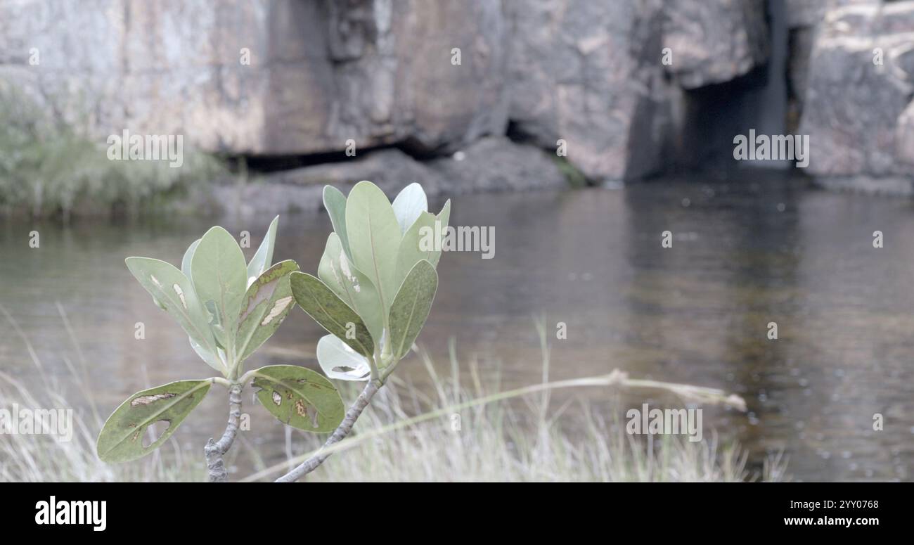 Cataratas dos Couros is one of the most stunning waterfalls in the ...