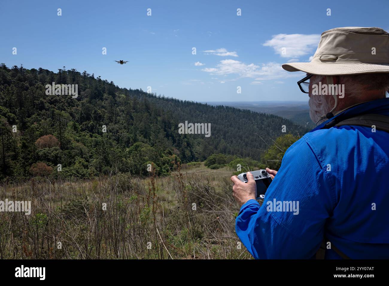 man flying drone over bushland forest, Australia, older mature retired ...