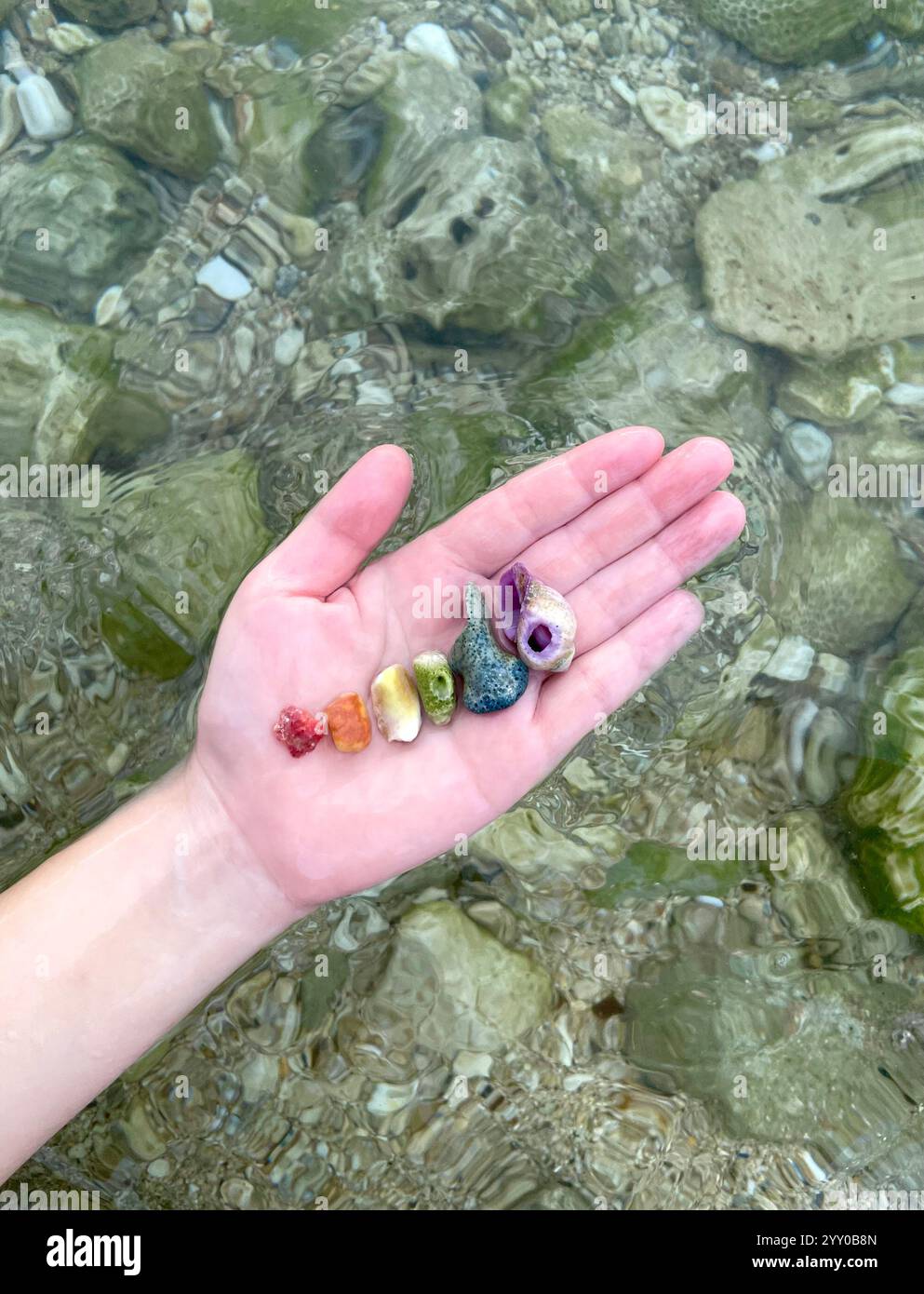 female hand holding rainbow colored seashells in the ocean Stock Photo ...