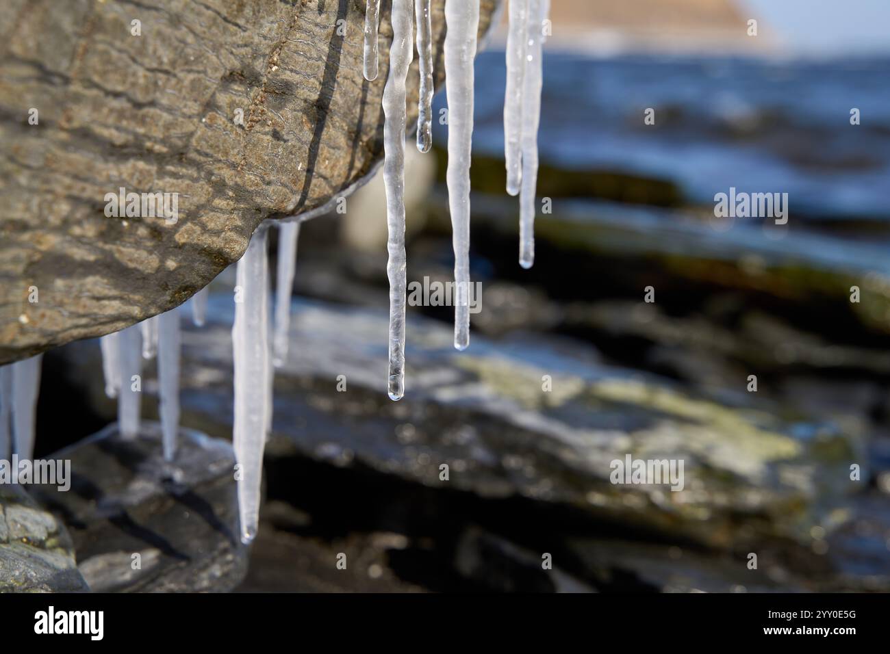 Vladivostok. 18th Dec, 2024. This photo taken on Dec. 18, 2024 shows ...